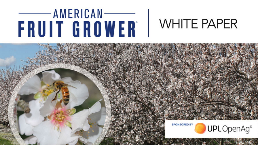 Download the 2022 State of the Fruit and Nut Industry Whitepaper ...