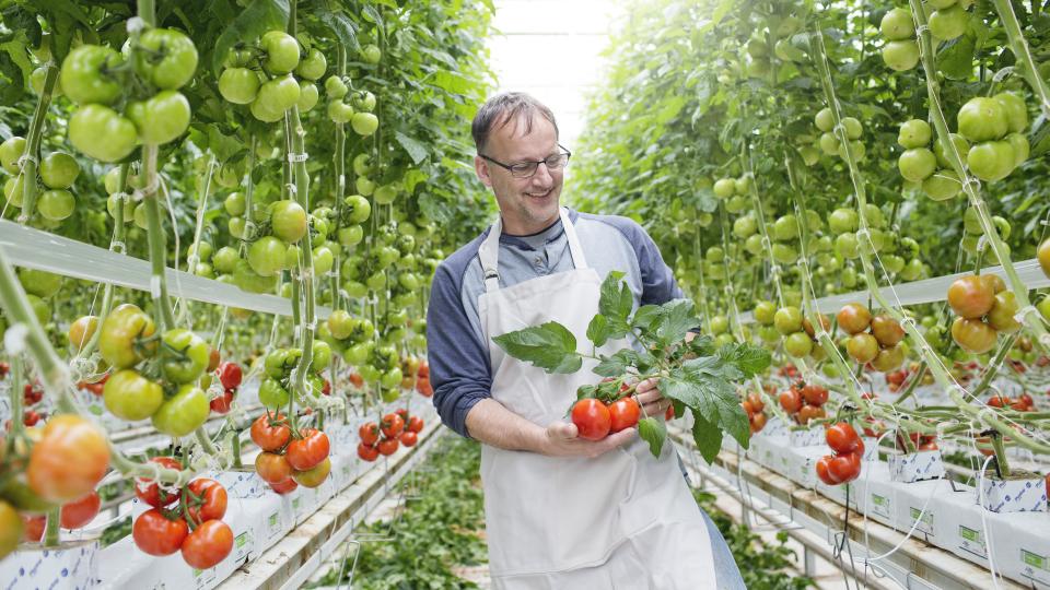 What's the Secret to Lipman Family Farms’ Success? Its People - Growing ...