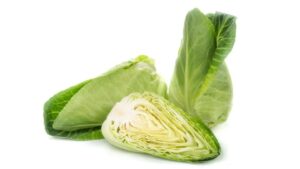 15 Cool Cabbage Varieties You Should Know and Grow - Growing Produce
