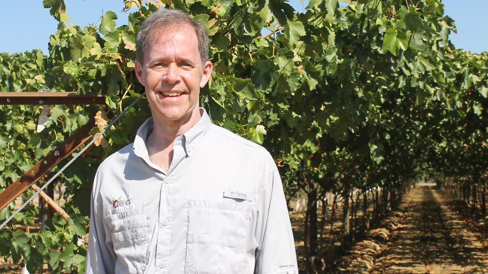 How International Fruit Genetics Is Taking Plant Breeding To the Next ...