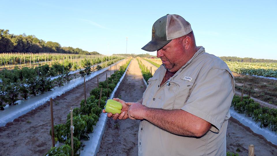 A New Take on a 110-Year-Old Vegetable Farm - Growing Produce