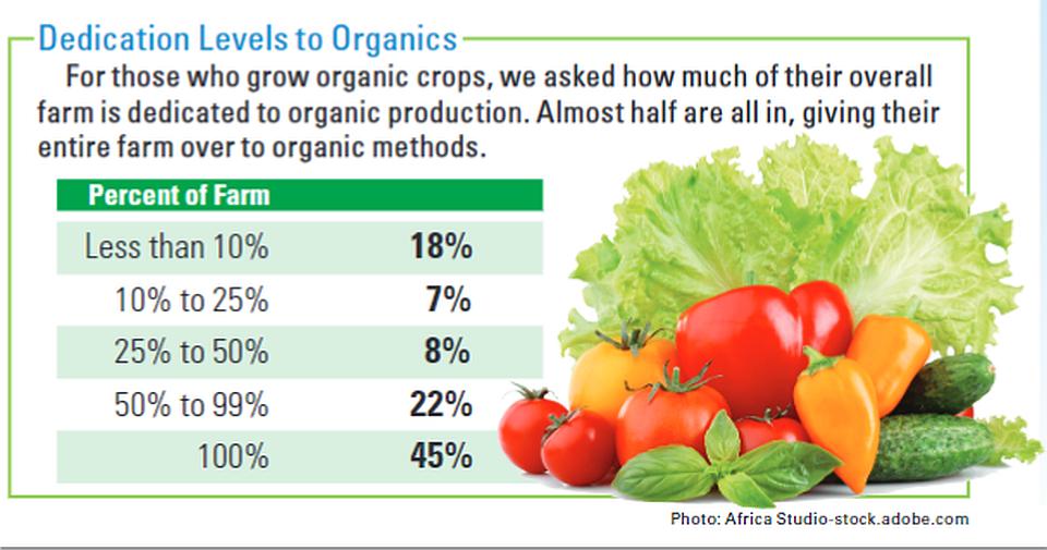 How Organic Is the Vegetable Industry? Survey Results Tell the Tale ...