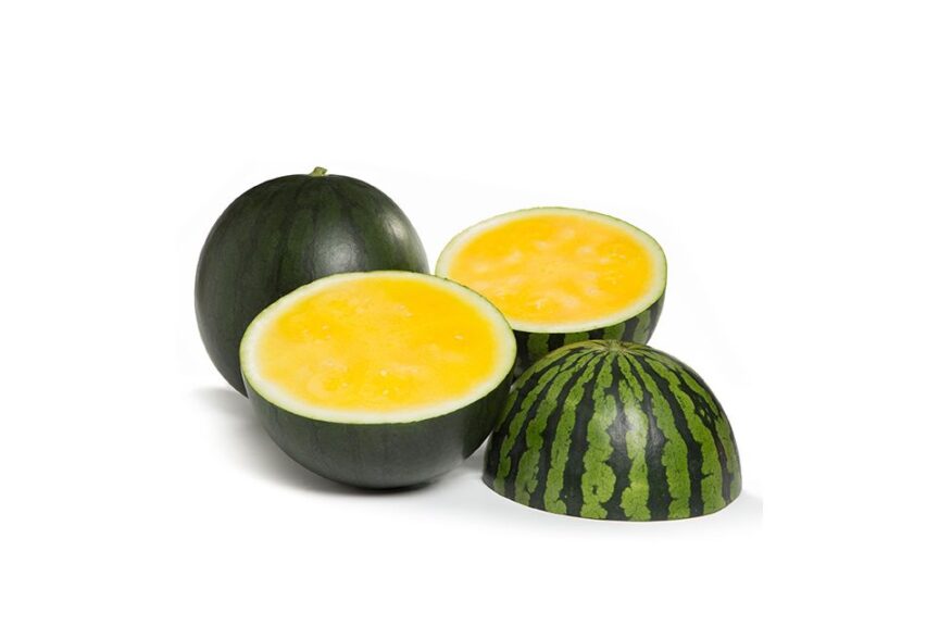 Watermelon Varieties You Will Want Grow in 2026 - Growing Produce