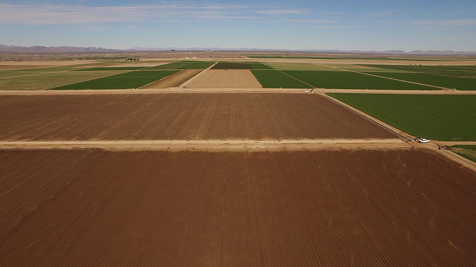 Learn About the National Farm Security Action Plan - Growing Produce