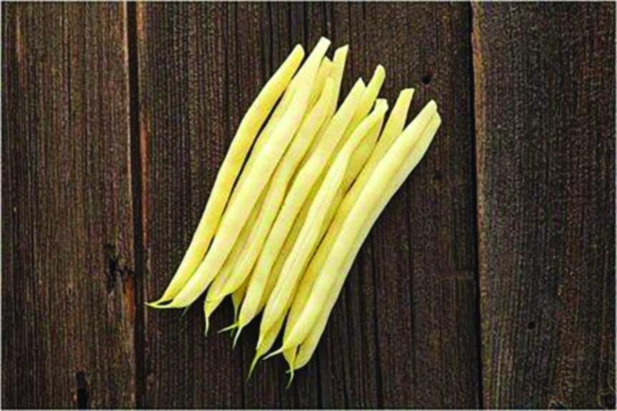 The Best Green Bean Varieties You’ll Want To Grow Now - Growing Produce