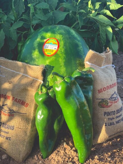 Modern Vegetable Growing Is Alive and Thriving in the Desert Southwest ...