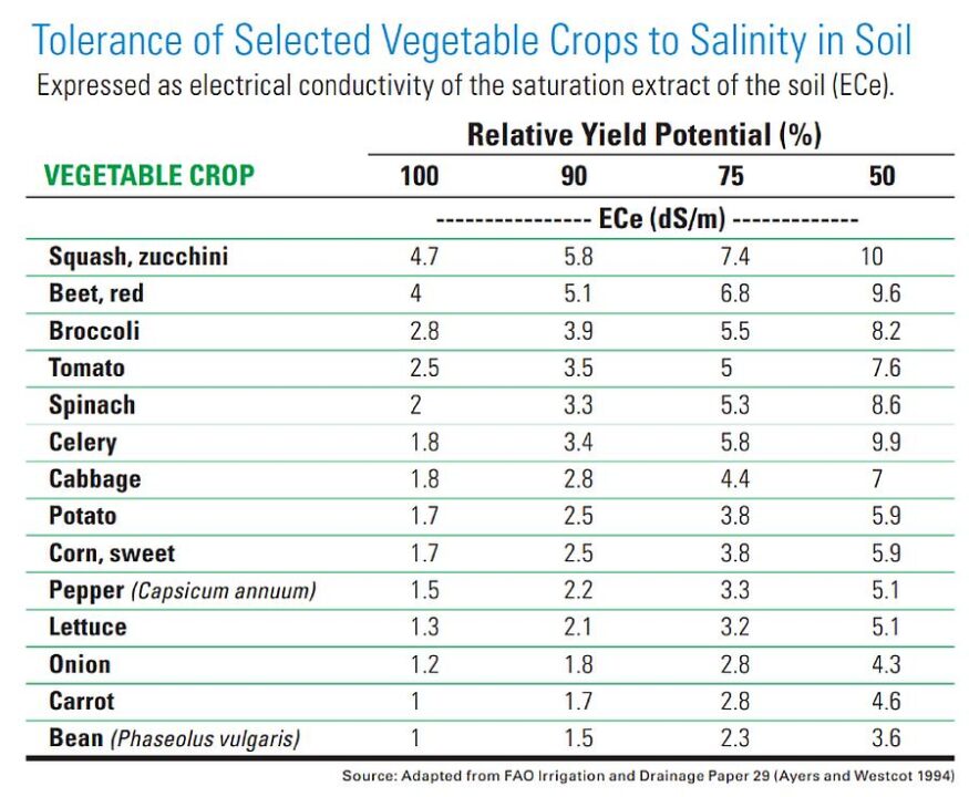 Is Salinity Harming Your Vegetable Crops? - Growing Produce
