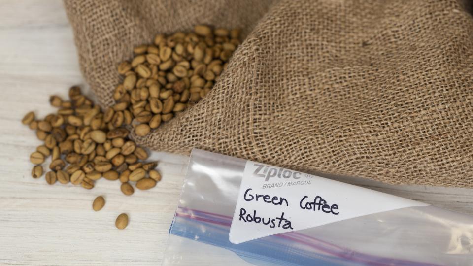 Perking up! New Progress Brews Around Growing Coffee in Florida ...