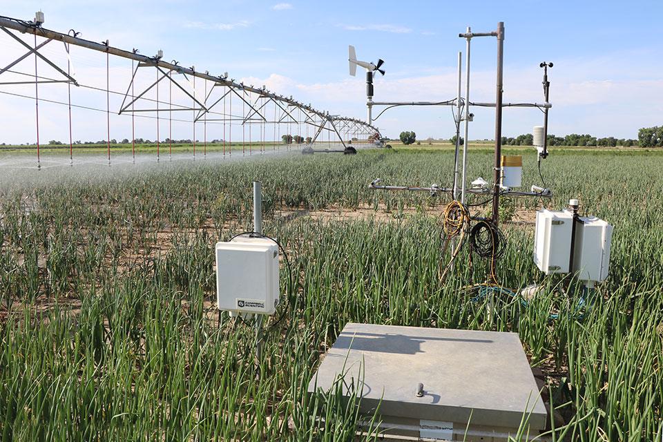 4 Emerging Technologies That Can Level up Your Farm's Irrigation System ...