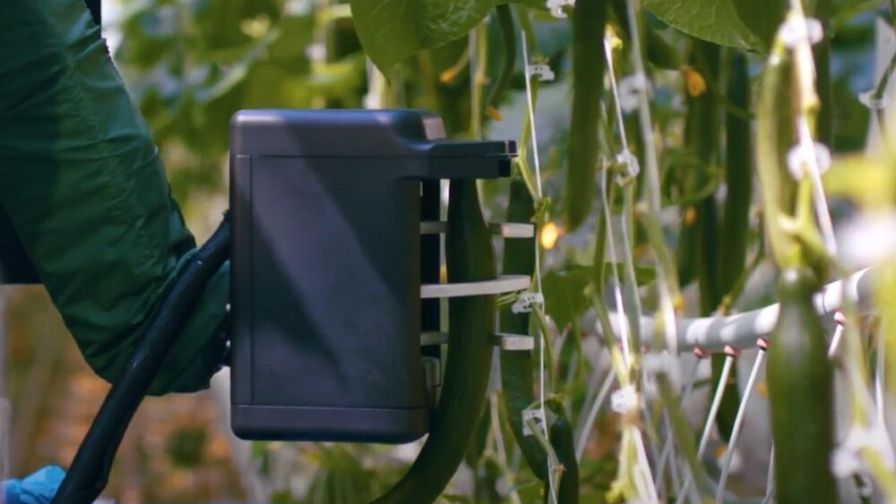 How a Robotic Cucumber Harvester Can Help Save Labor Costs - Growing ...