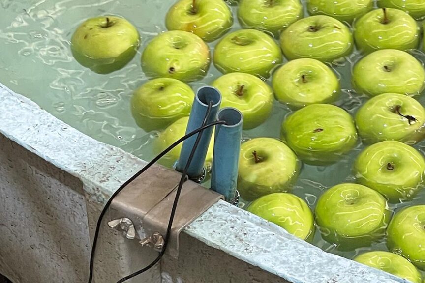 Postharvest Water Management: Why This Doesn’t Have To Be So Difficult ...