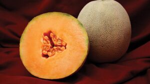10 Cantaloupe And Melon Varieties You Need To Know - Growing Produce