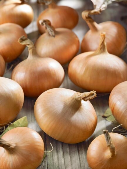 24 Appealing Onion Varieties To Know and Grow - Growing Produce