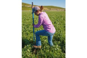 Taylor Farms Digs Into the Secrets of Cover Crops - Growing Produce