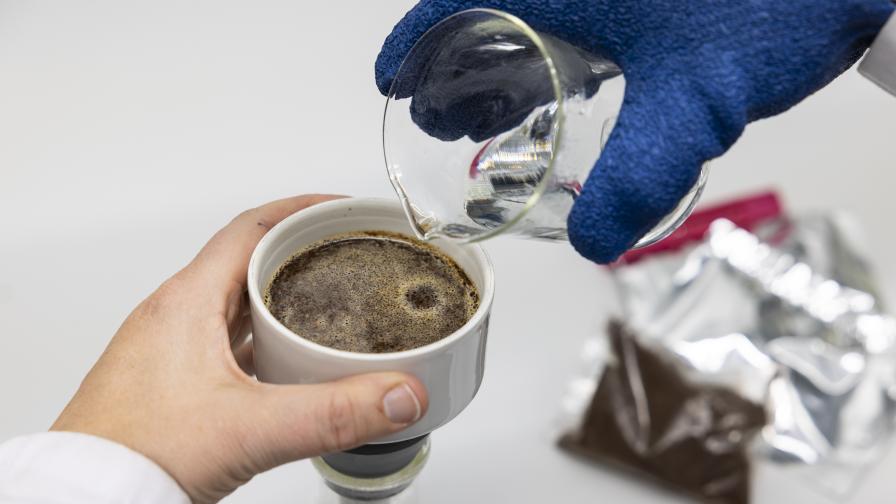 Is a New Coffee-Growing Ecosystem Brewing on the Horizon? - Growing Produce