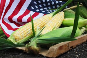 Top Sweet Corn Varieties Growers Should Consider for Their Portfolio ...