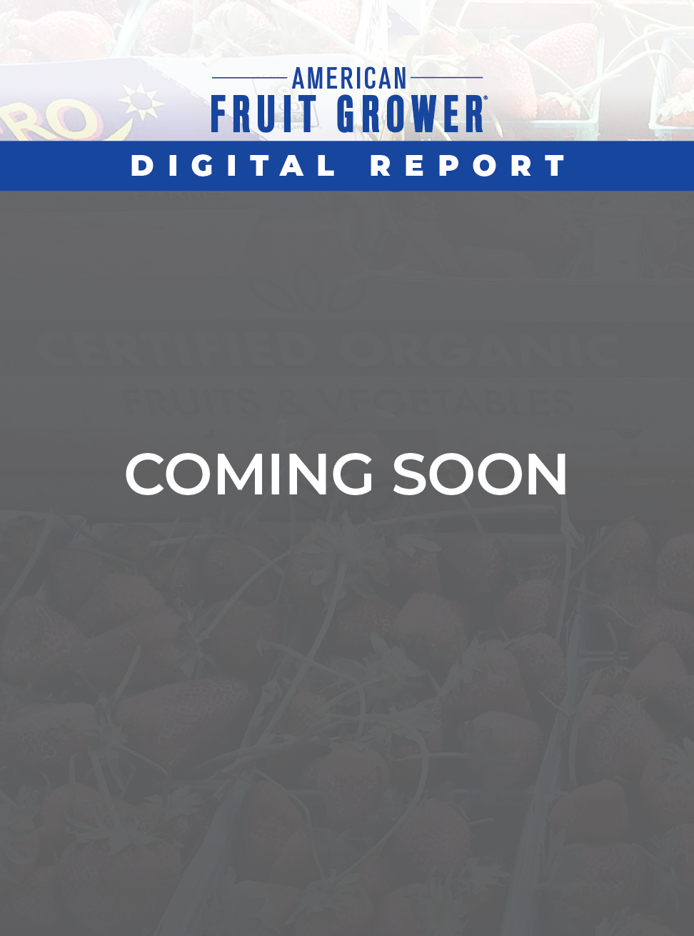 Digital Deep Dives - Growing Produce