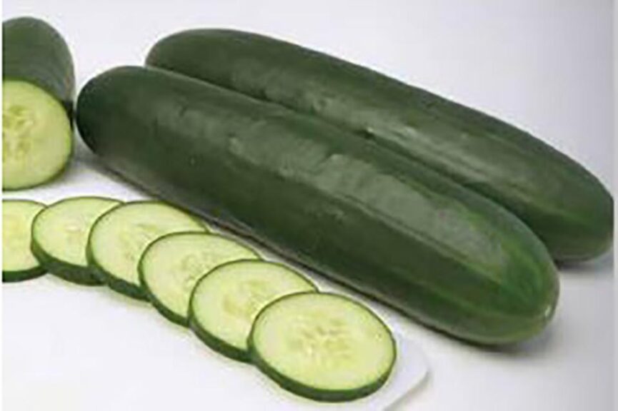 18 Cool Cucumber Varieties You Will Want To Grow - Growing Produce