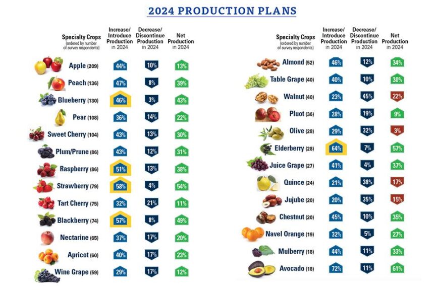 Staying Strong! 2024 State of the Fruit and Nut Industry Survey Results ...