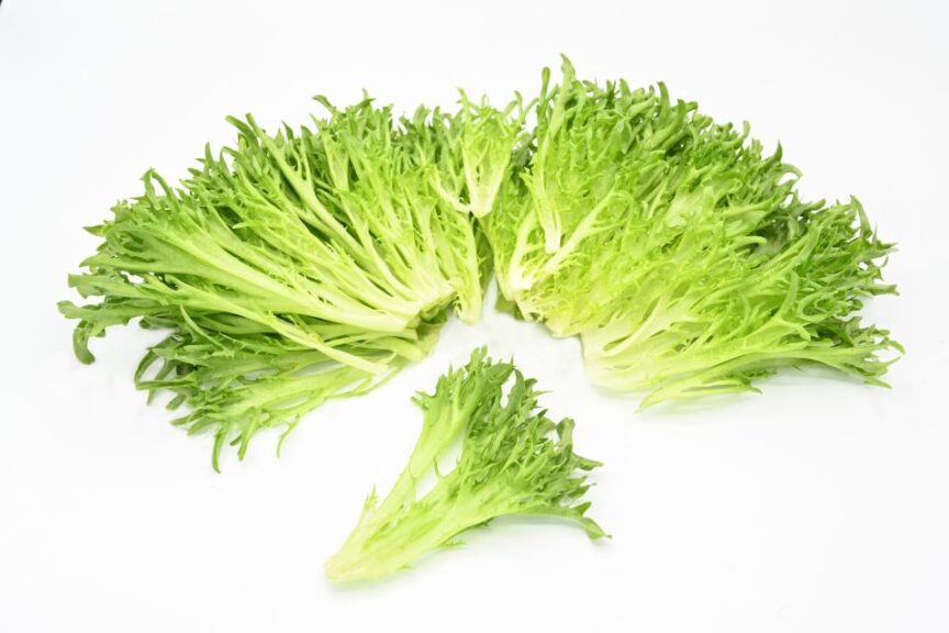 Unique Leafy Green Varieties You'll Want to Grow - Growing Produce
