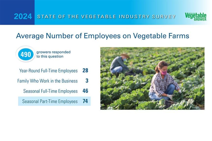Analyzing Big Data on What's Happening in the Vegetable Industry ...