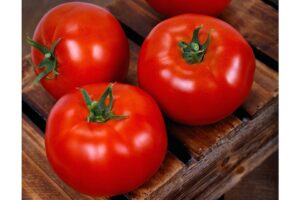26 Tasty Tomato Varieties You Should Know and Grow Now - Growing Produce
