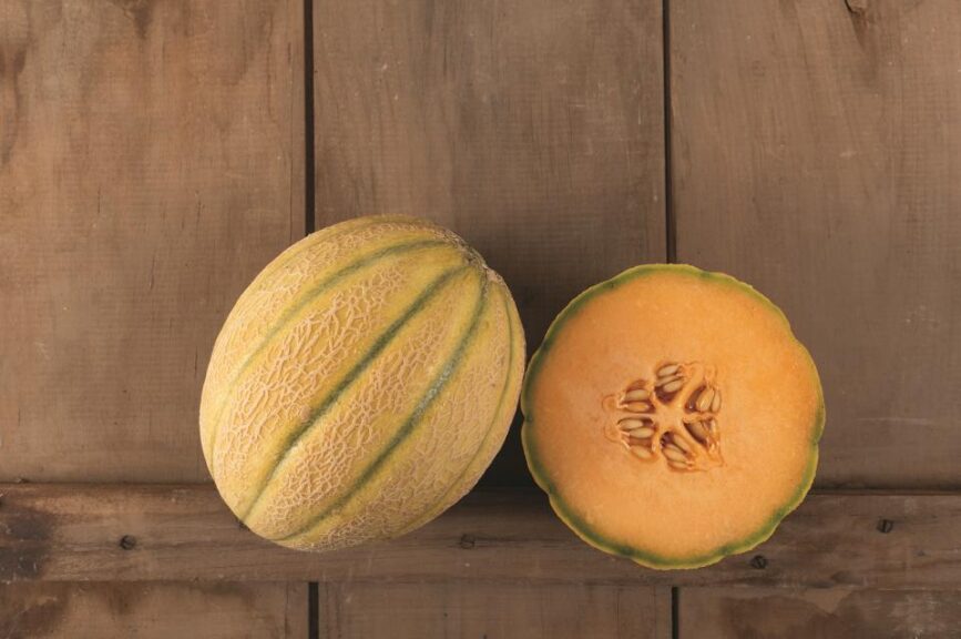 16 Cantaloupe and Other Melon Varieties To Get Excited About - Growing ...