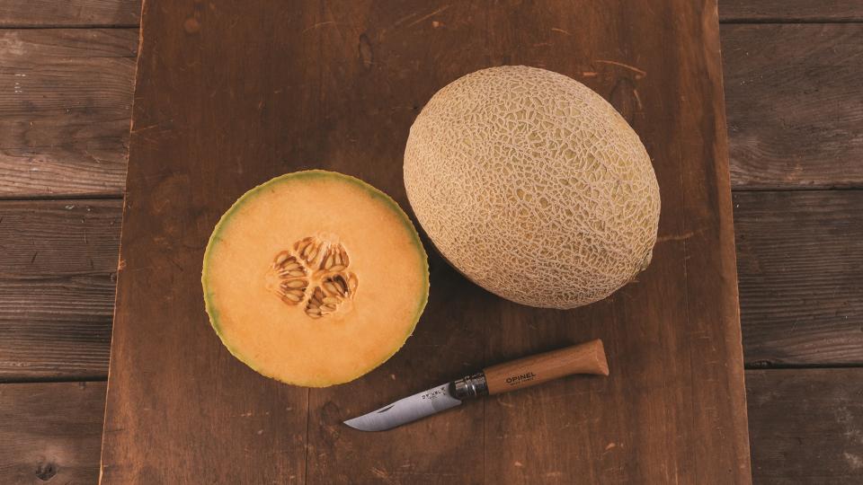 16 Cantaloupe and Other Melon Varieties To Get Excited About - Growing ...