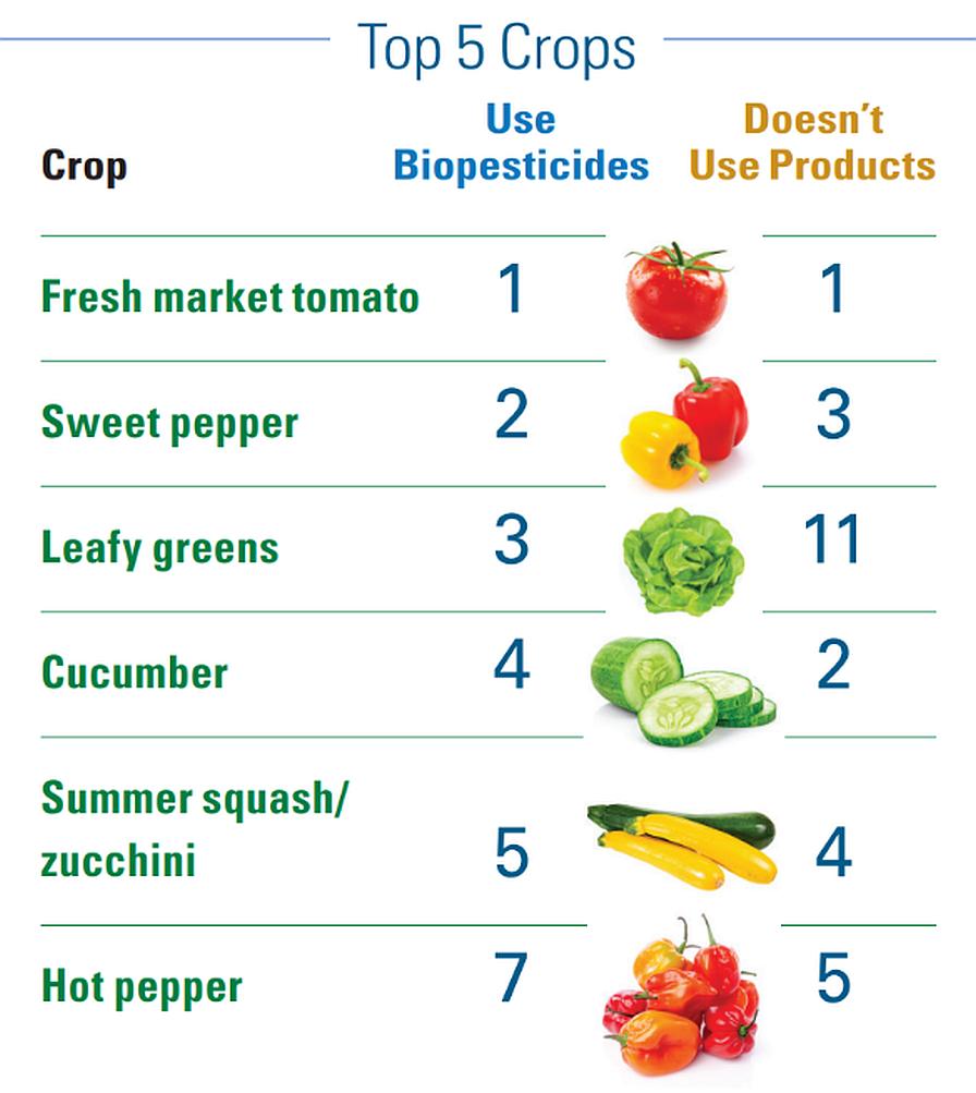Vegetable Growers Using Biopesticides Report More Success - Growing Produce