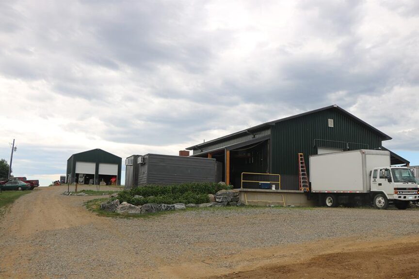 This Organic Vegetable Farm Finds Itself at a Crossroads - So, Which ...