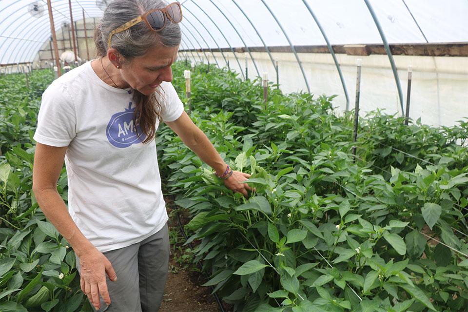 Important Message for Farmers: Never Forget Who You Are Growing For ...