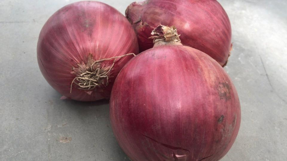 24 Appealing Onion Varieties To Know and Grow - Growing Produce