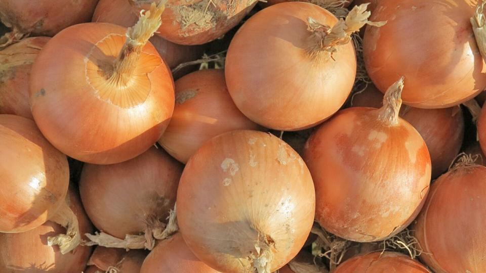 24 Appealing Onion Varieties To Know and Grow - Growing Produce