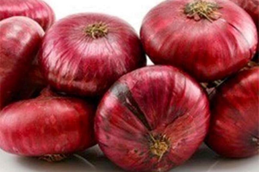 24 Appealing Onion Varieties To Know and Grow - Growing Produce