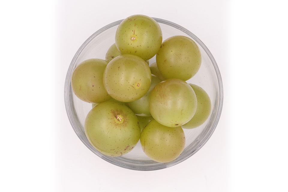 Putting Bronze Muscadine Grape Varieties in the Spotlight - Growing Produce