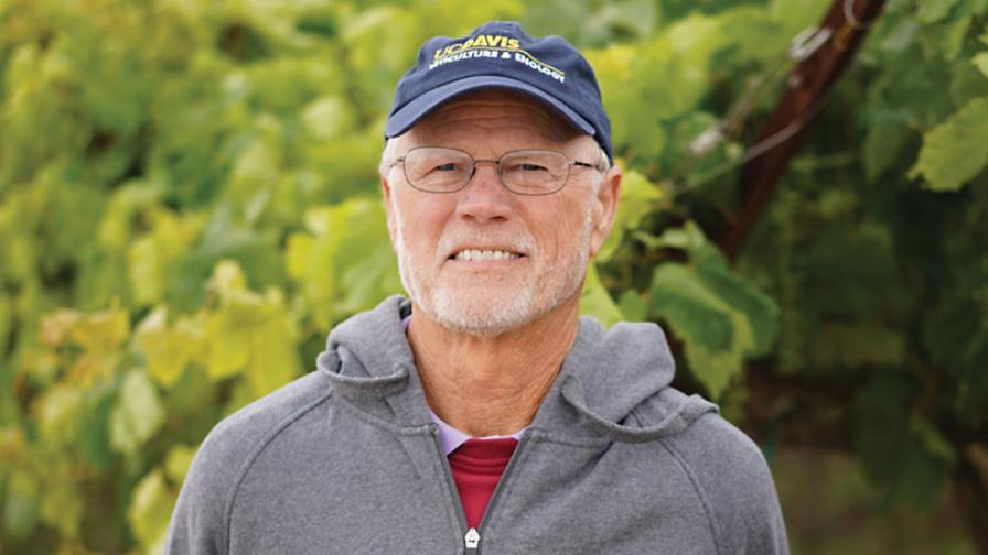 Learning More About Optimal Grape Growing Made in the Shade - Growing ...