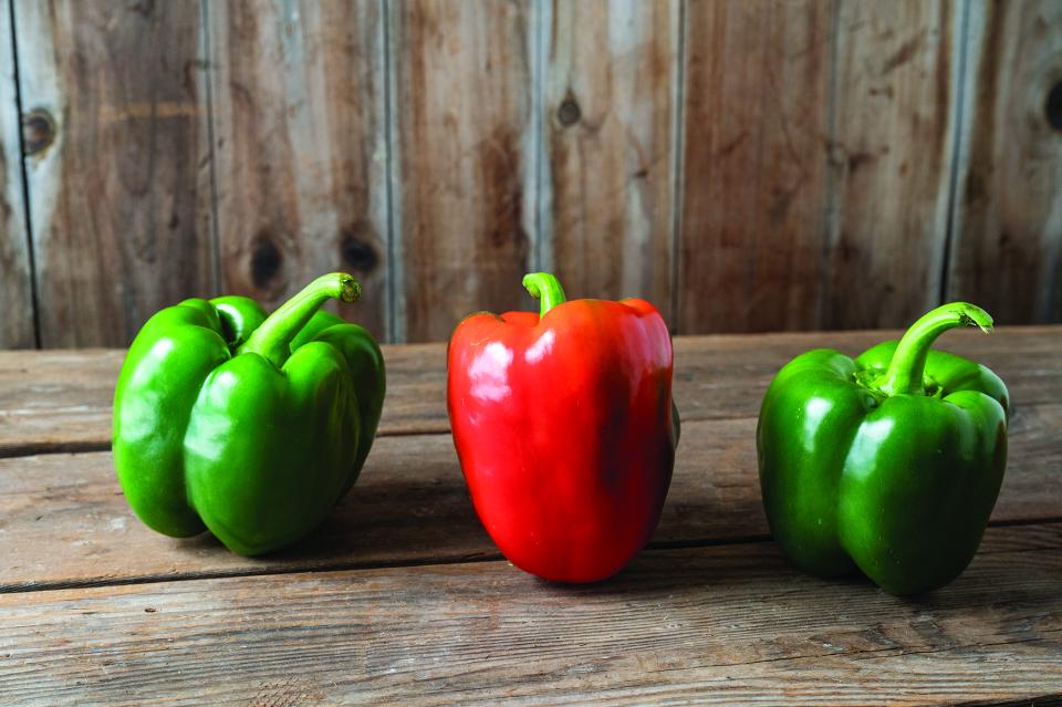 Sweet Pepper Varieties To Know and Grow - Growing Produce