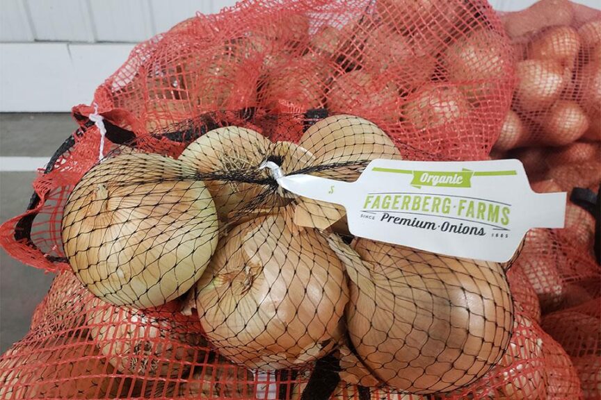 What Fagerberg Produce Is Doing To Keep Its Onions Weed Free - Growing ...