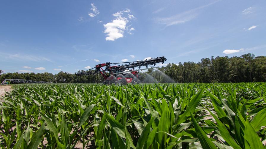 New App Taps Into Irrigation Needs for Sweet Corn - Growing Produce