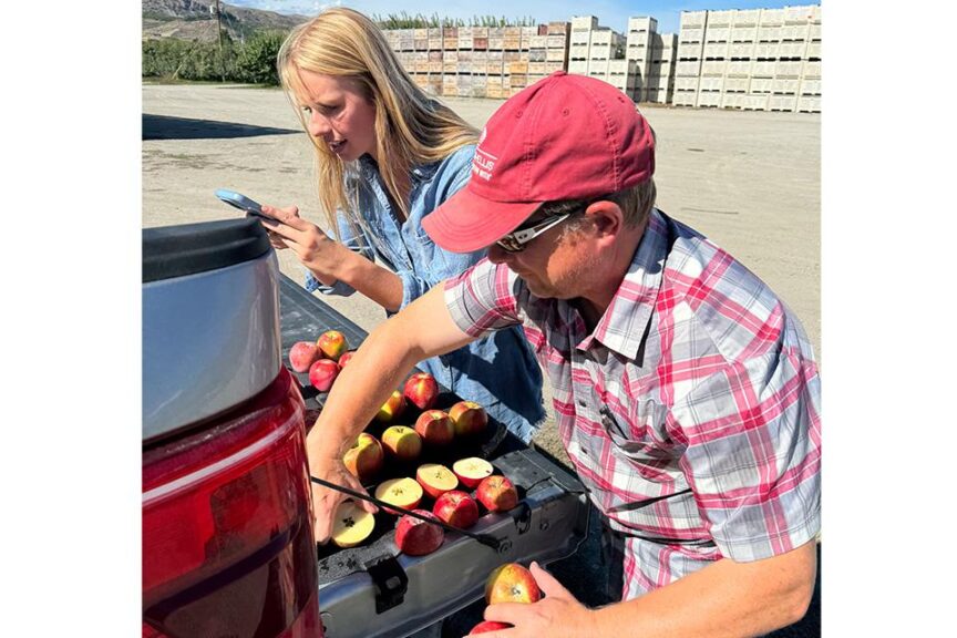 How Kait Thornton - ‘The Apple Girl’ - Has Grown Into Being the Face of ...