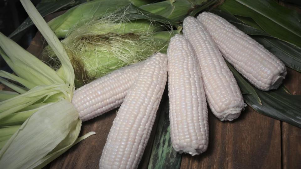 Standout Sweet Corn Varieties To Know and Grow Now - Growing Produce