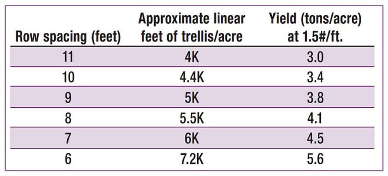 Which Yield Metric Is Best for Growing Grapes? - Growing Produce