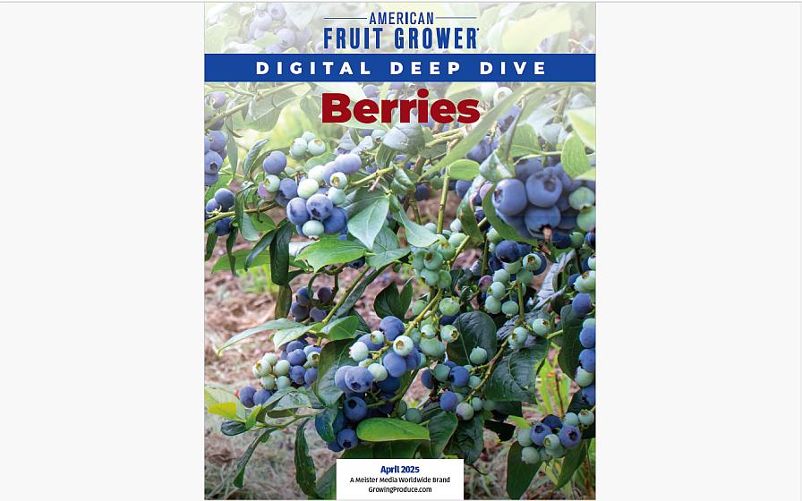 Digital Deep Dive: Your Guide To Grow Better Berries - Growing Produce