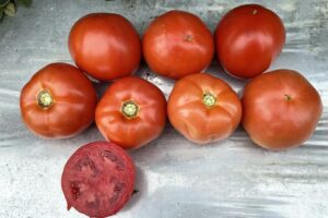 26 Tasty Tomato Varieties You Should Know and Grow Now - Growing Produce
