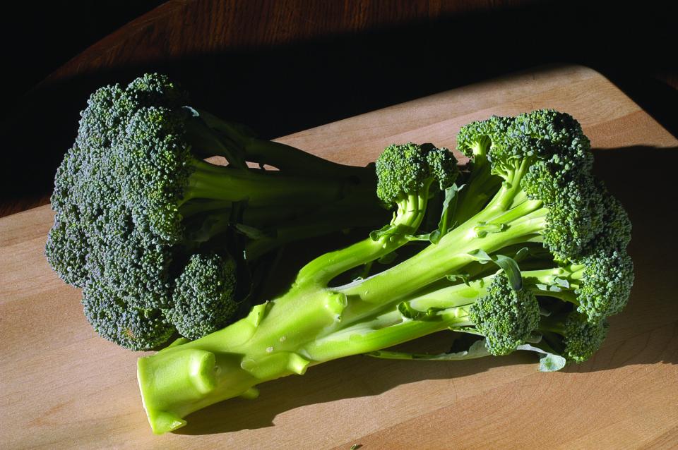 The Latest Broccoli Varieties Growers Need To Check Out - Growing Produce