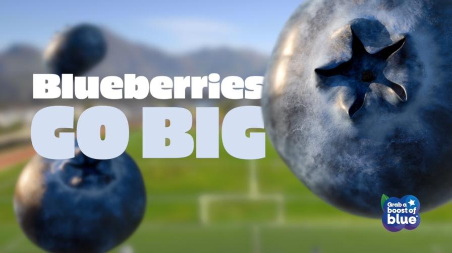 New Marketing Campaign Aims To 'Go Big' for Blueberry Growers - Growing ...