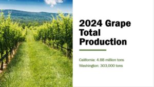What the Latest U.S. Grape Production Data Is Telling Us [Infographics ...