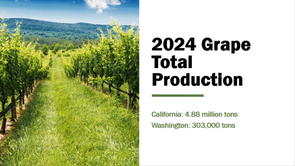 What the Latest U.S. Grape Production Data Is Telling Us [Infographics ...