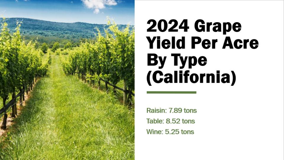 What the Latest U.S. Grape Production Data Is Telling Us [Infographics ...