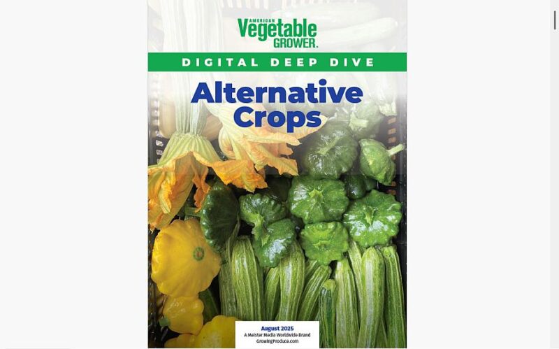 Digital Deep Dive: Your Guide To Emerging Alternative Crops - Growing ...